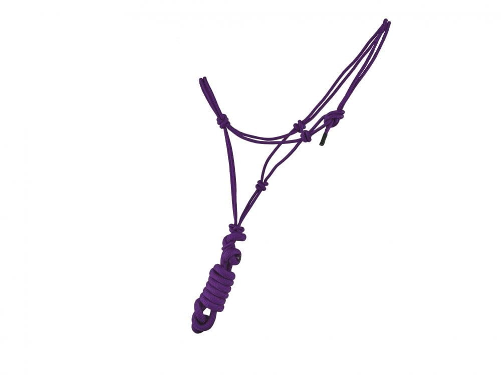 Showman Medium/Large Pony Cowboy Knot Halter w/ Lead (Purple) - Walmart.com