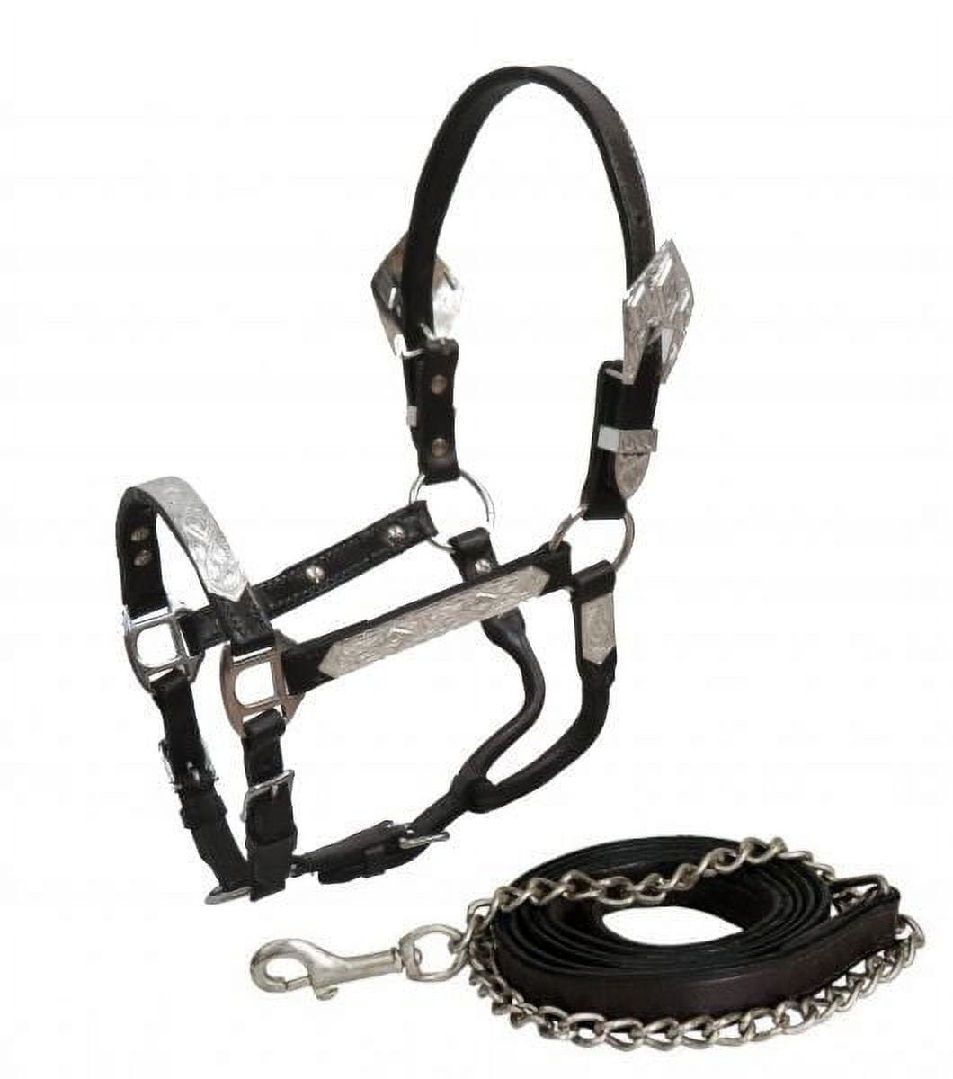 Showman Mini Dark Leather Show Halter w/ Lead - Walmart.com