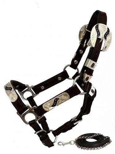 Showman Mini Leather Show Halter w/ Engraved Silver Plates - Walmart.com