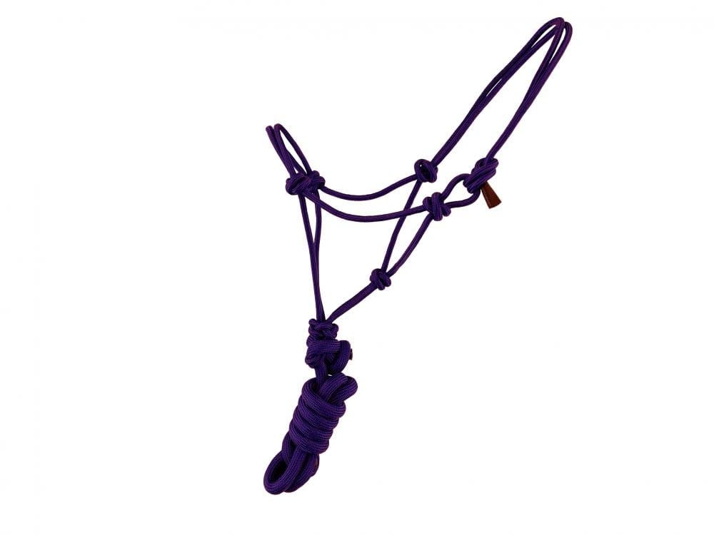 Showman Mini/Small Pony Cowboy Knot Halter w/ Lead (Purple) - Walmart.com