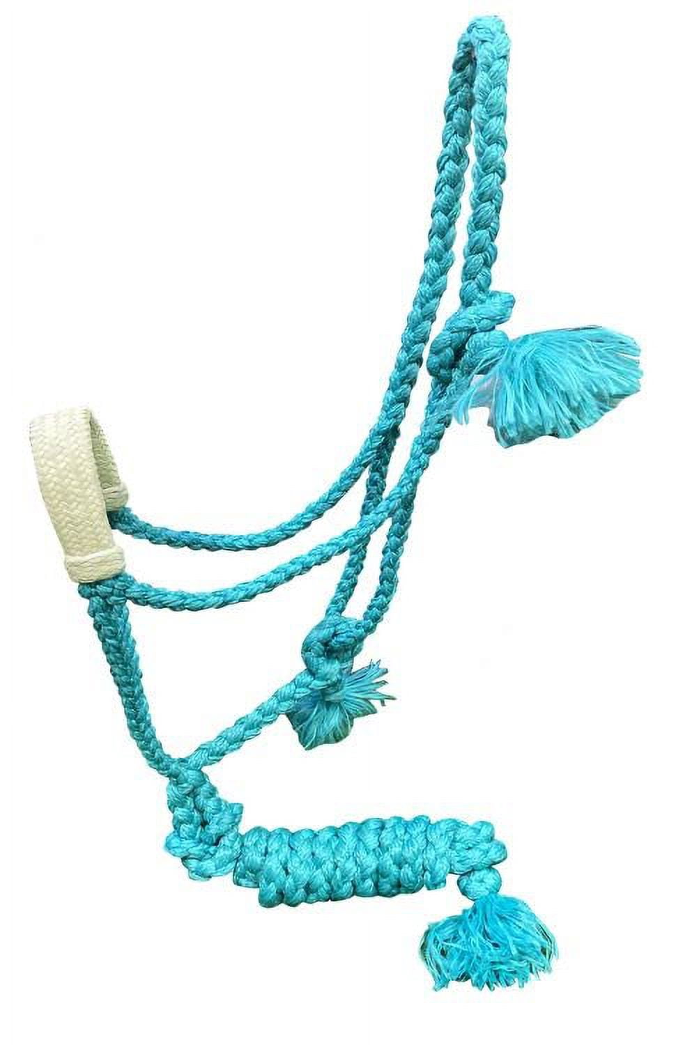 Showman Mule Tape Halter w/ Rawhide Braided Noseband - Walmart.com