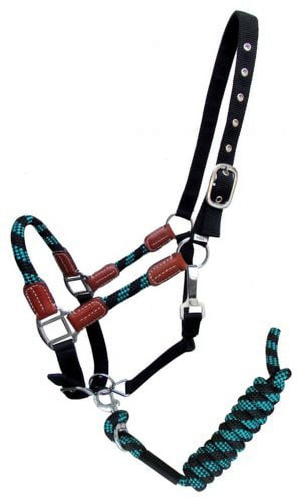 Showman Nylon Halter w/ Leather Accents & Matching Lead Rope (Teal ...