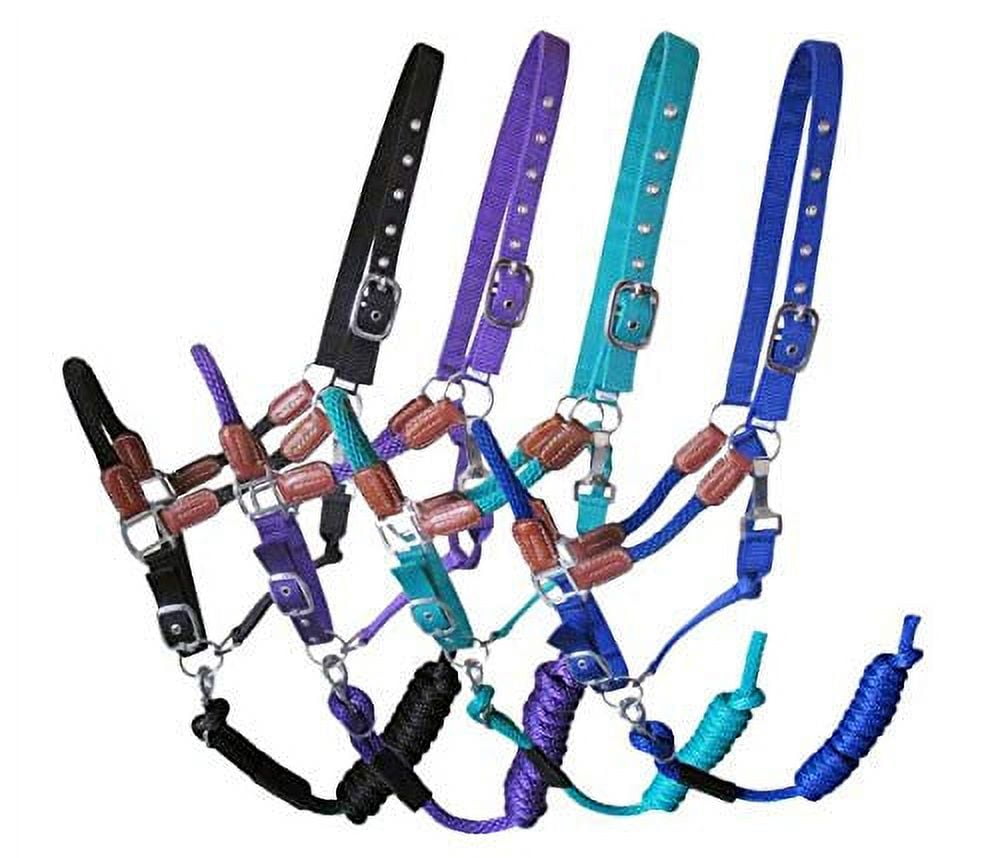 Showman Nylon Halter w/ Leather Accents & Removable 8' Lead Rope (Black ...
