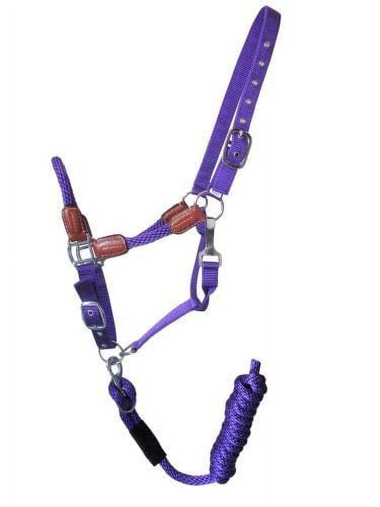 Showman Nylon Halter w/ Leather Accents & Removable 8' Lead Rope ...