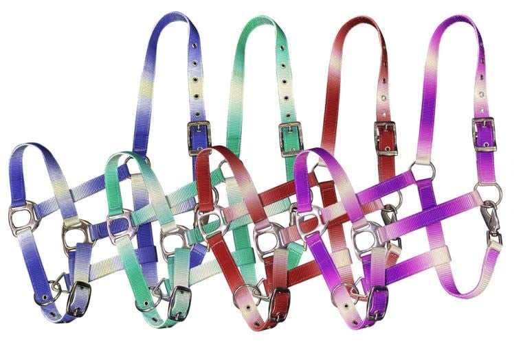 Showman Ombre Nylon Halter (Blue) - Walmart.com