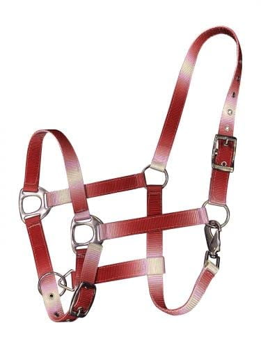 Showman Ombre Nylon Halter - Walmart.com