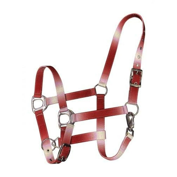 Showmanship Halter