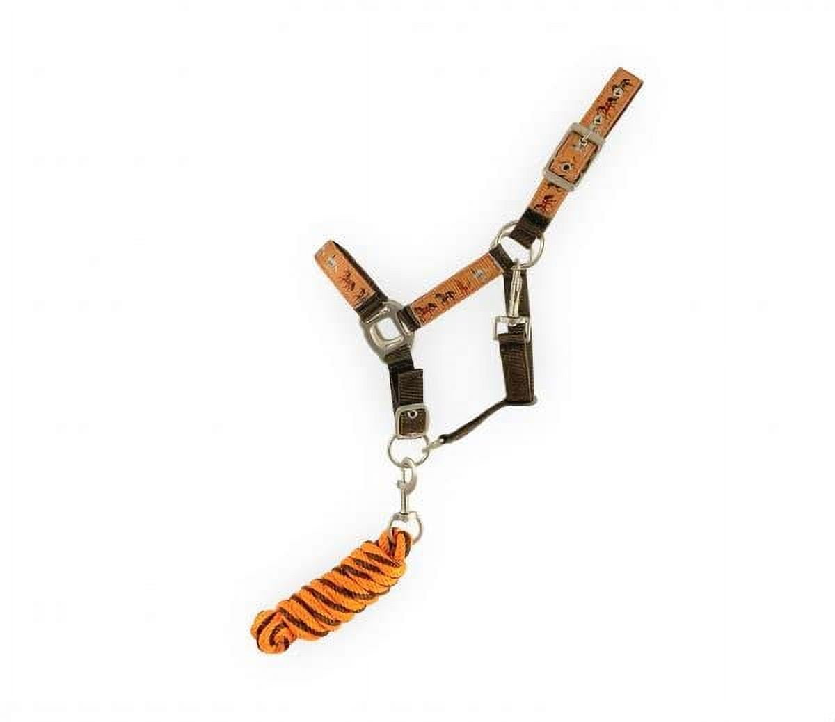 Showman Pony Brown Nylon Halter w/ Orange Running Horse Overlay & Lead ...