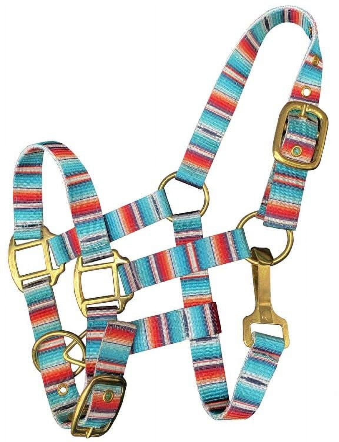 Showman Pony Nylon Halter w/ Teal Serape Print - Walmart.com
