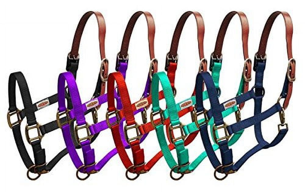 Showman Premium Nylon Breakaway Halter w/ Leather Crown - Walmart.com