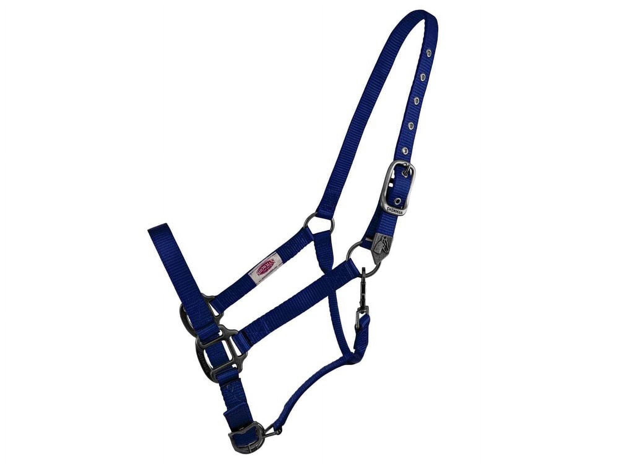 Showman Premium Nylon Halter w/ Heavy Duty Hardware (Blue) - Walmart.com