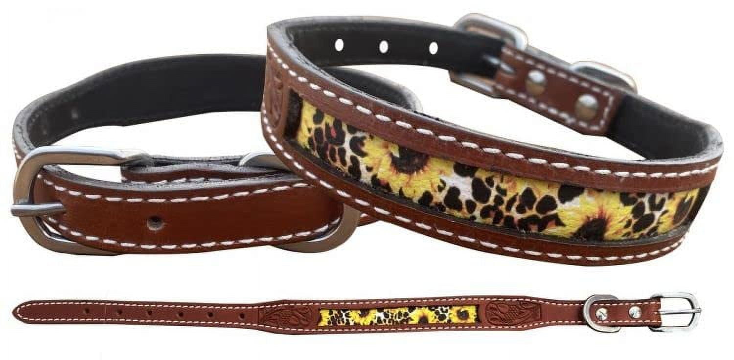 Showman Sunflower & Cheetah Print Leather Dog Collar (Large: 19"-24 ...