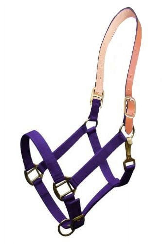 Showman Triple Ply Nylon Halter w/ Leather Crown (Purple) - Walmart.com