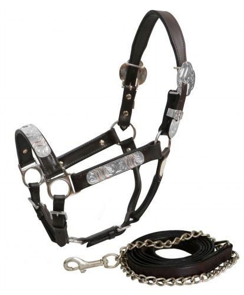 Showman Yearling Leather Show Halter w/ Lead - Walmart.com