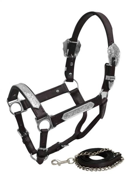 Showman Yearling Size Leather Show Halter w/ Engraved Silver Accents - Walmart.com