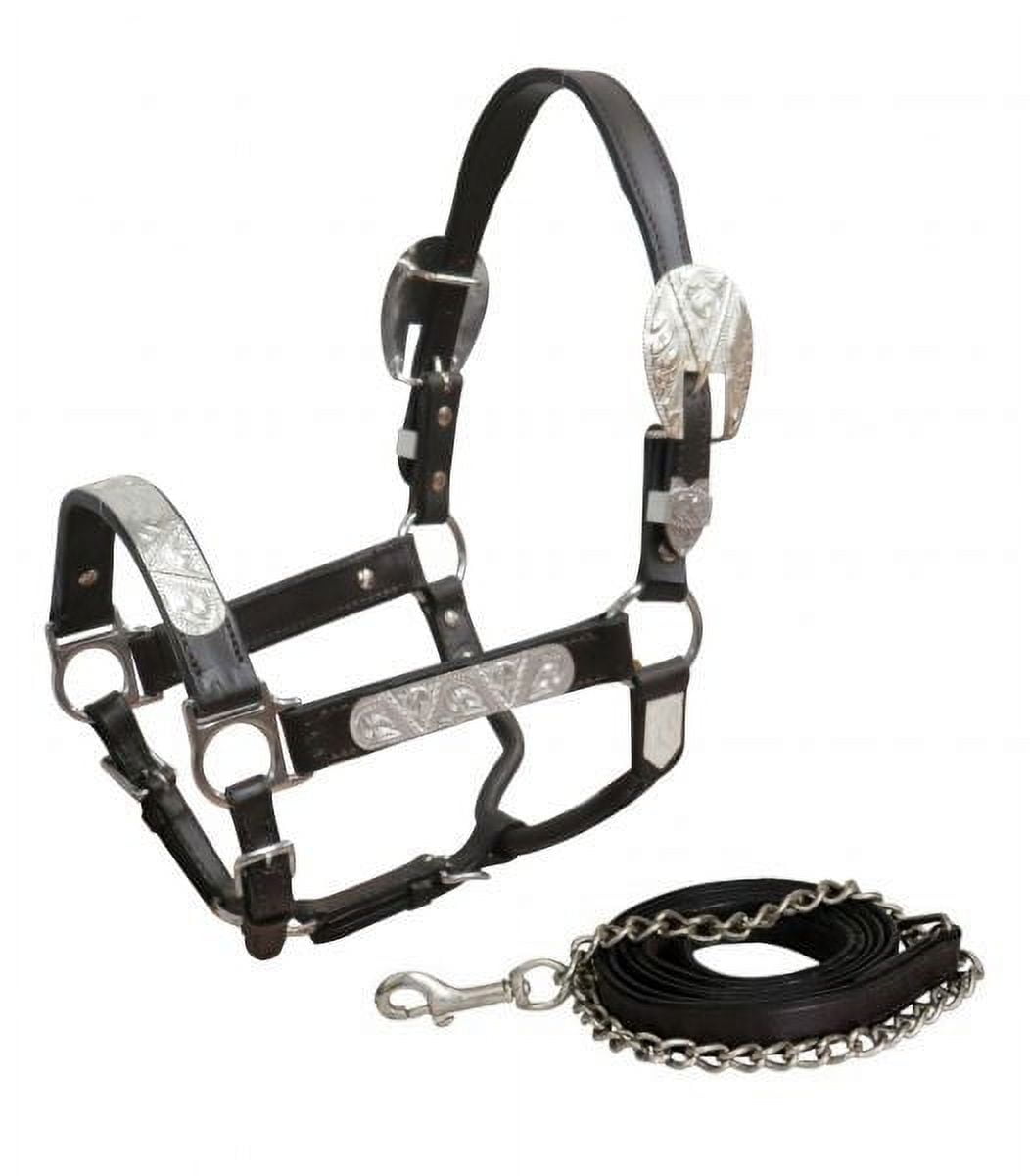 Showman Yearling/Small Horse Dark Leather Show Halter w/ Engraved ...