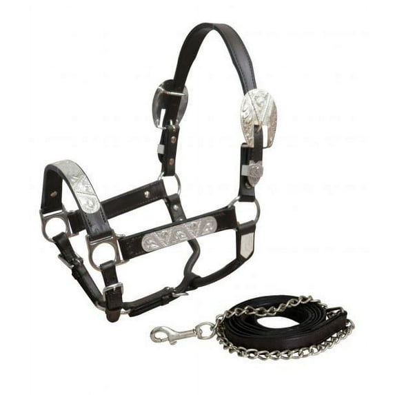 Showman Yearling/Small Horse Dark Leather Show Halter w/ Engraved ...