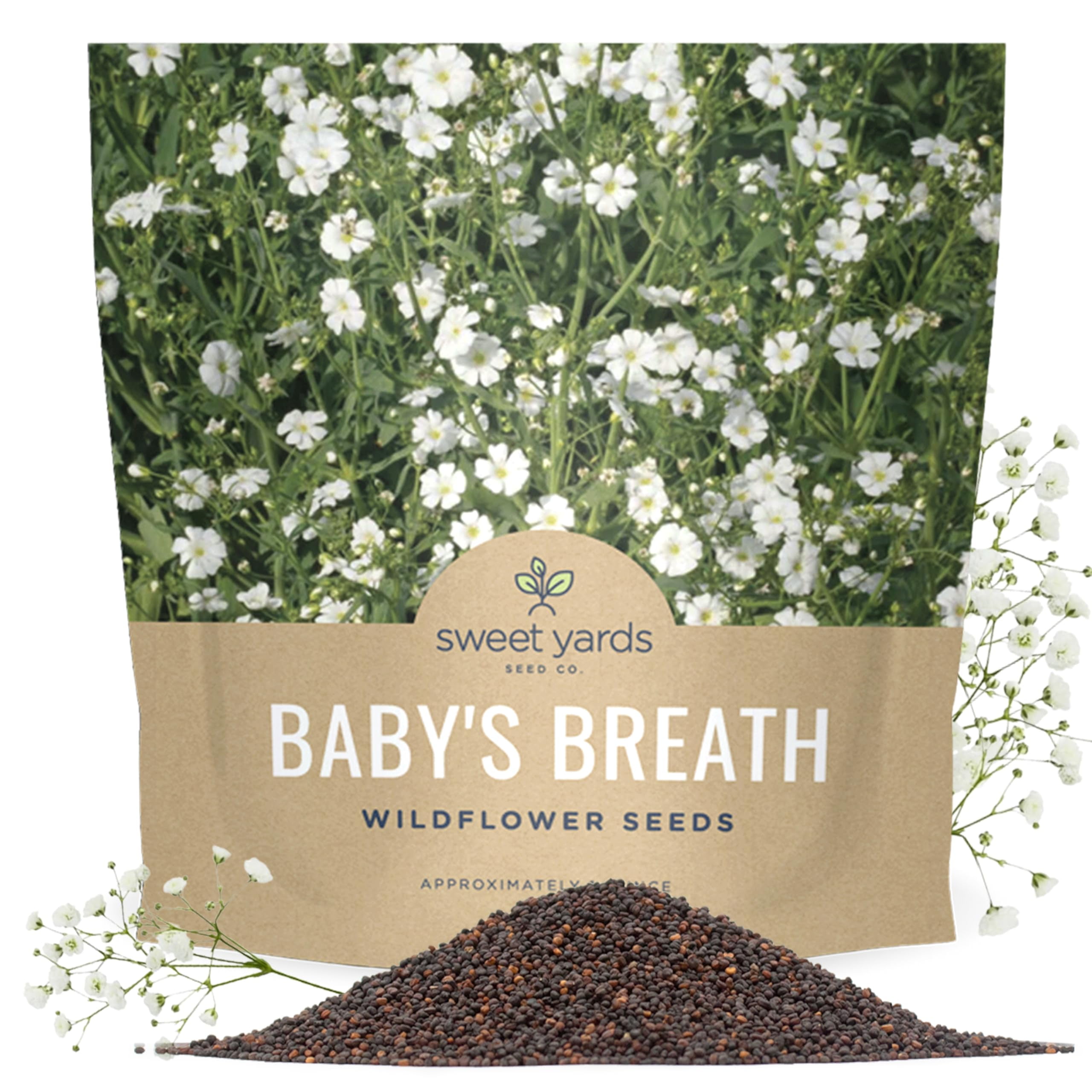 Showy Baby's Breath Seeds - Bulk Quarter MHD1Pound Bag - Over 80,000 Open Pollinated Non-GMO ...