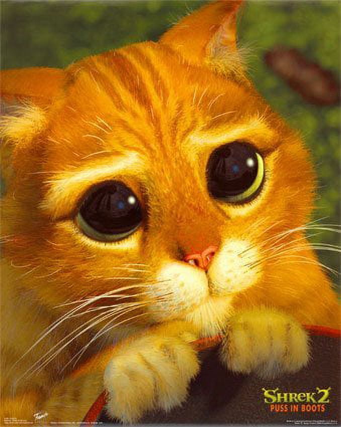 What Type Of Cat Is The Shrek Cat