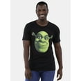 Shrek Men's & Big Men's Big Face Graphic Tee Shirt, Sizes S-3XL ...
