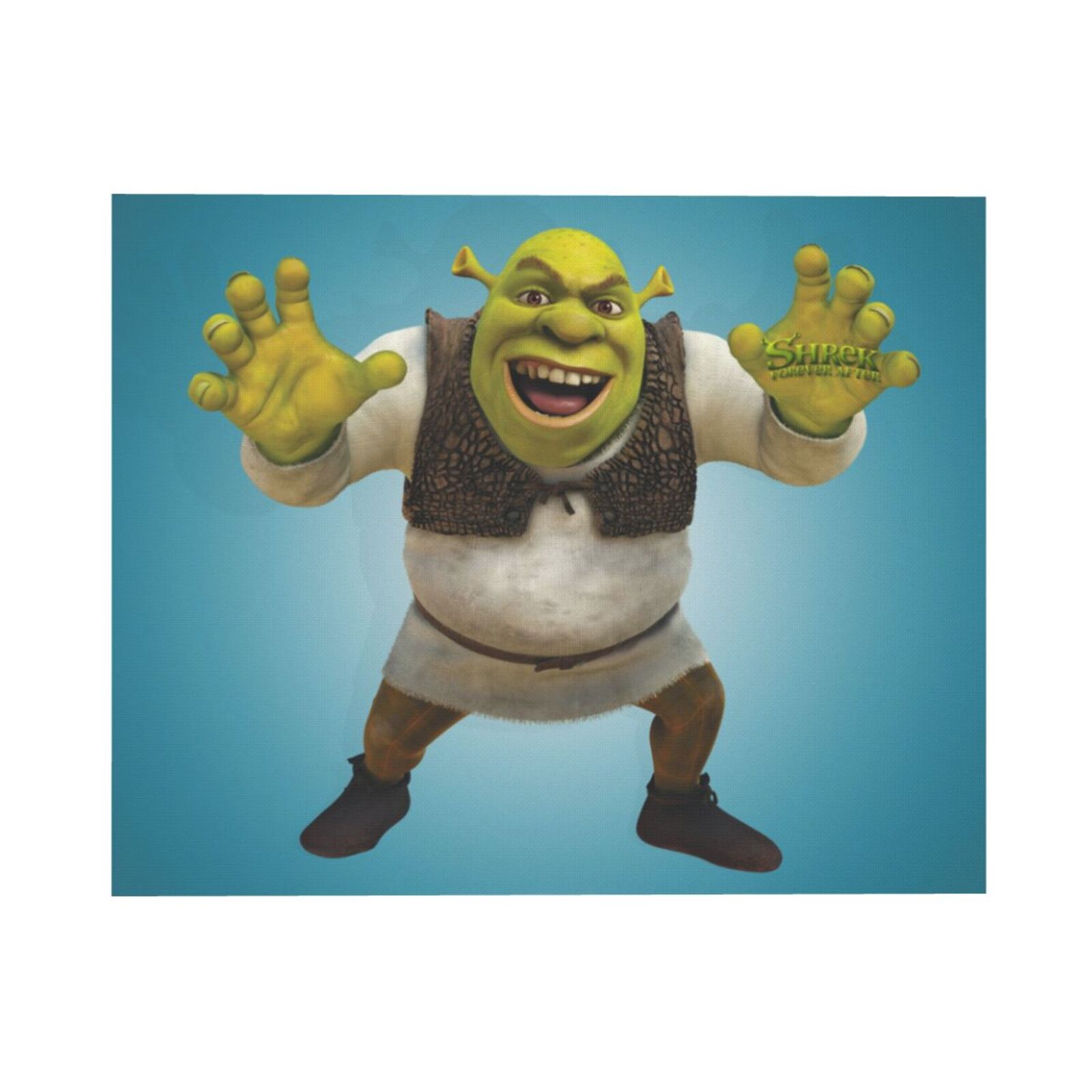 Shrek Character Canvas Decorative Poster Gift Art Picture Painting ...