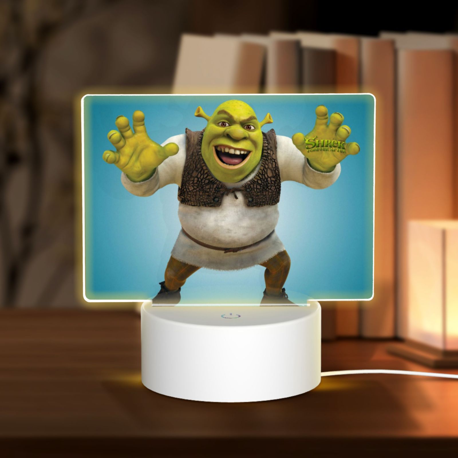 Shrek Character Rectangular Acrylic Night Light USB Cable Lamp Light ...