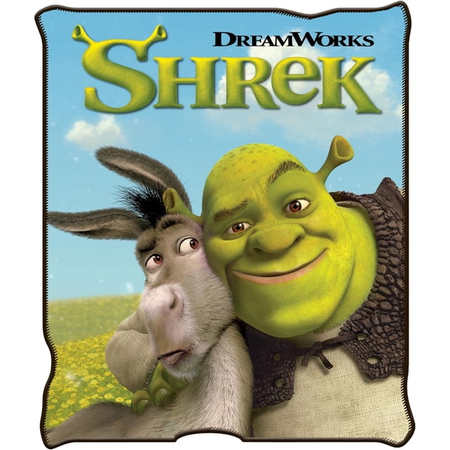 Shrek and Donkey Hugging 45x60 Cartoon Throw Blanket for Kids and ...
