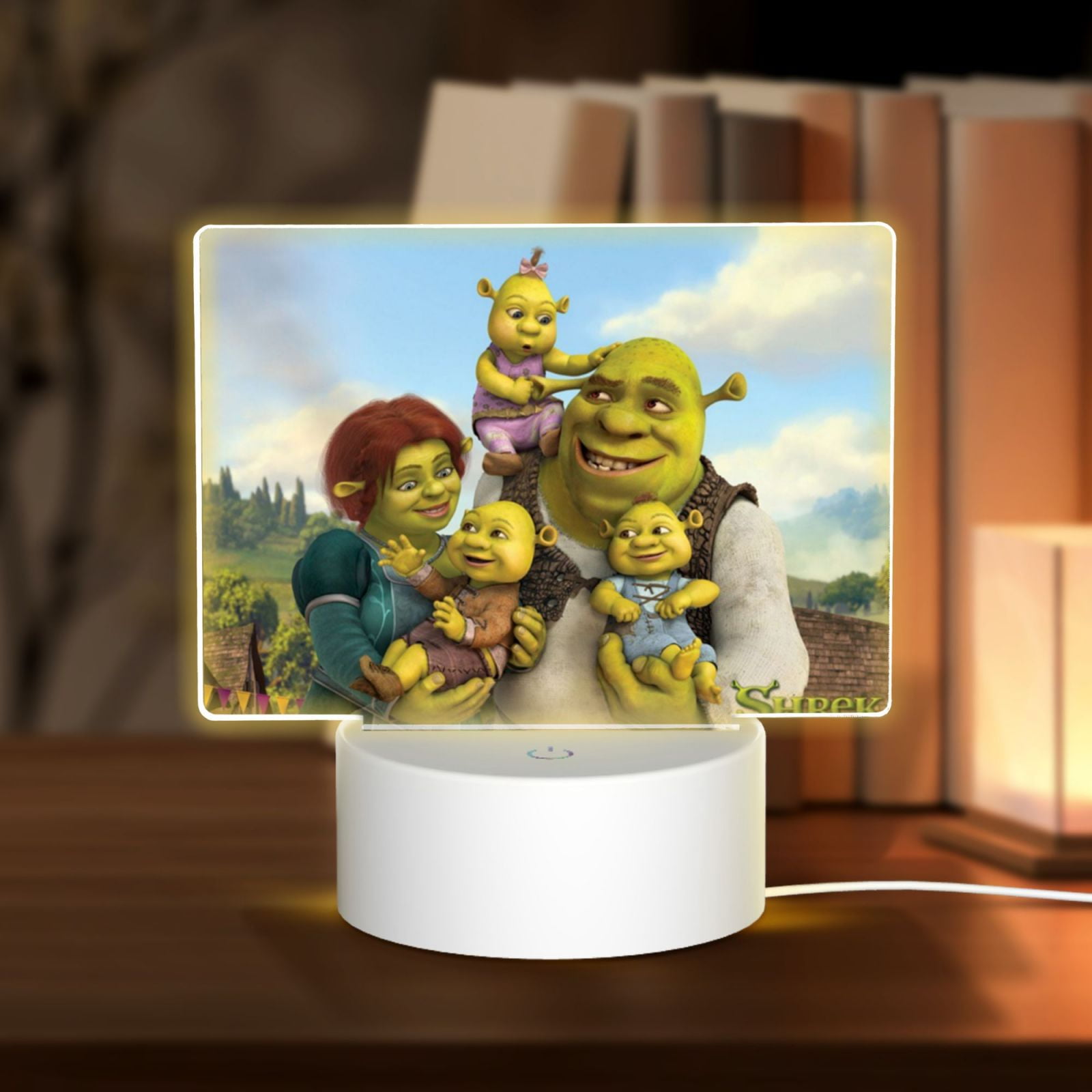 Shrek Fantasy Rectangular Acrylic Night Light USB Cable Lamp Light ...