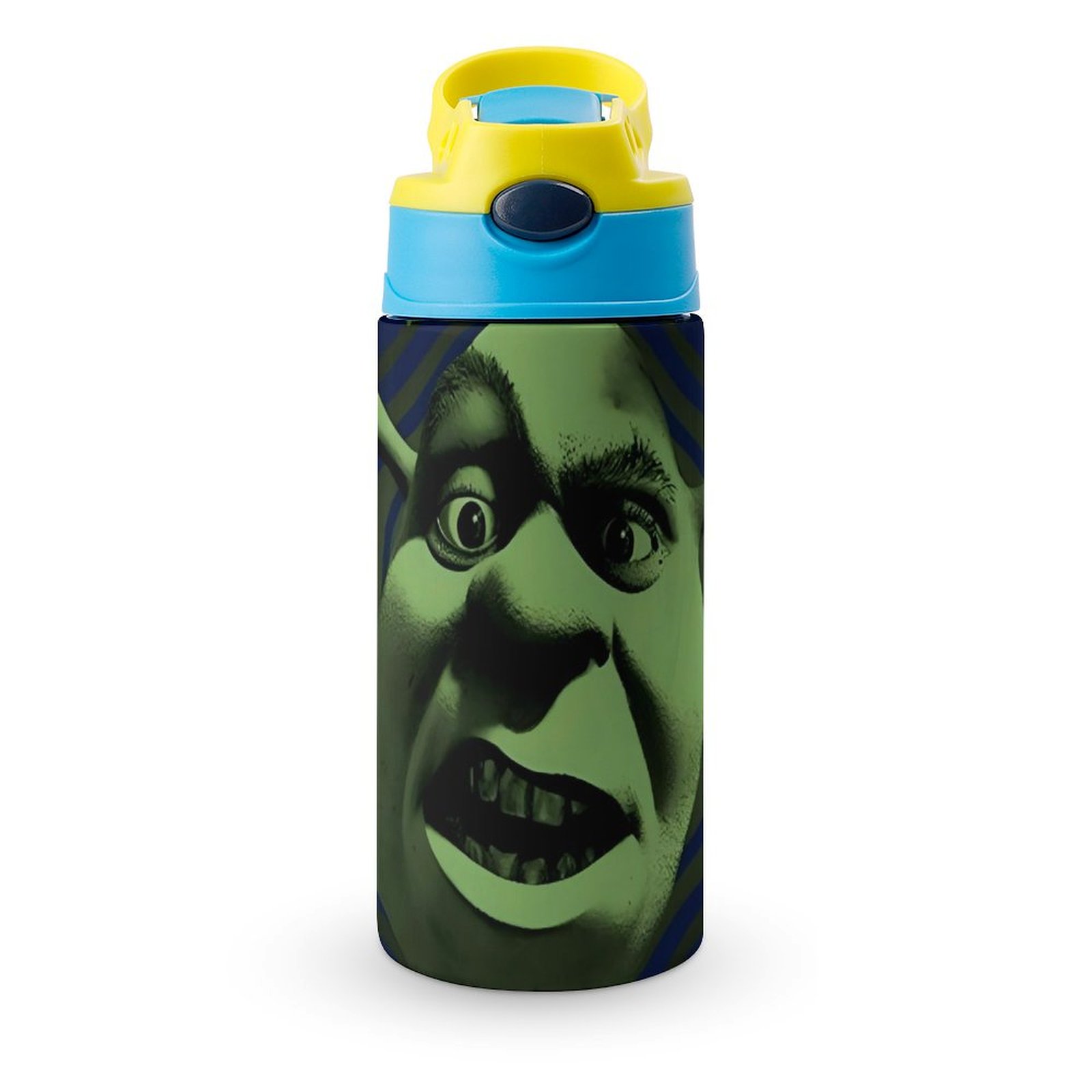 Shrek kids stainless steel water cup with straw 350ml - Walmart.com
