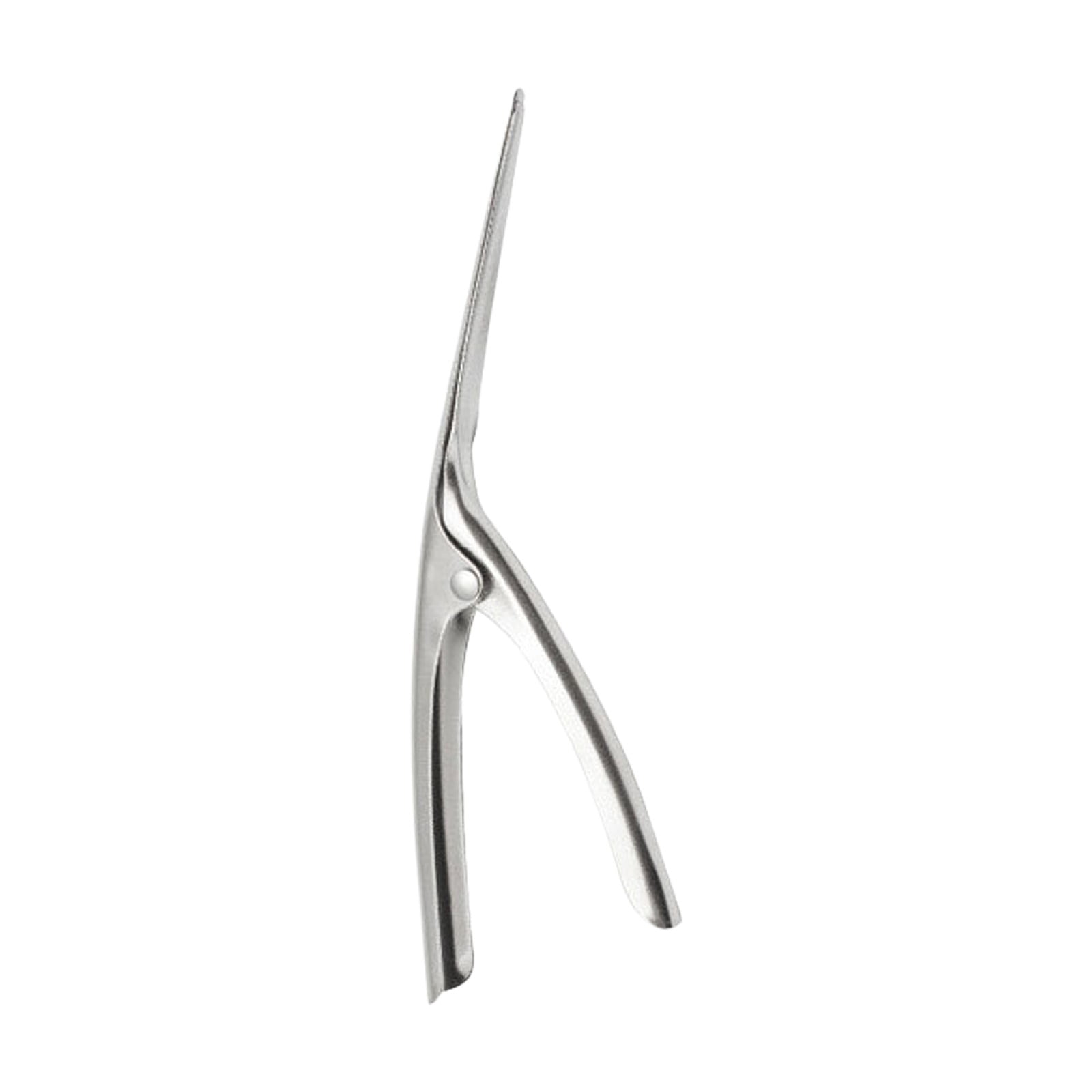 Shri.mp Deveining Tool 2025 Shri.mp Peeler Seafood Tools Stainless ...