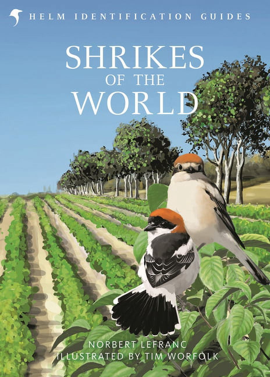 Shrikes of the World : THE BB/BTO BIRD BOOK OF THE YEAR (Hardcover ...