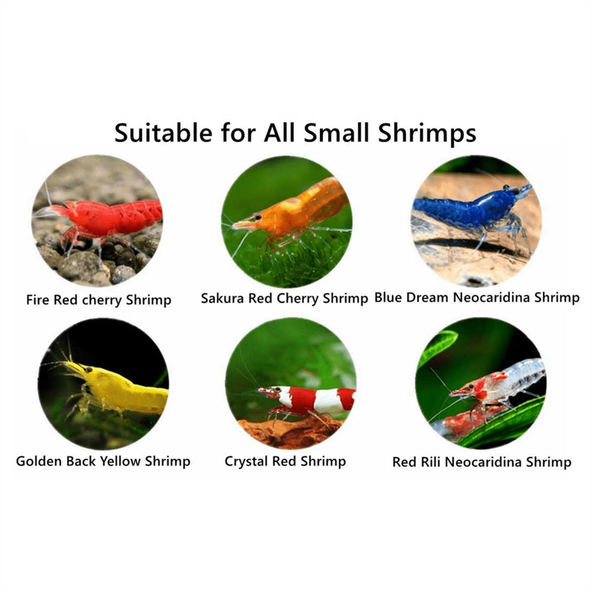 Shrimp Breeding Protector - Shrimp Breeding Cave Indoor Outdoor ...