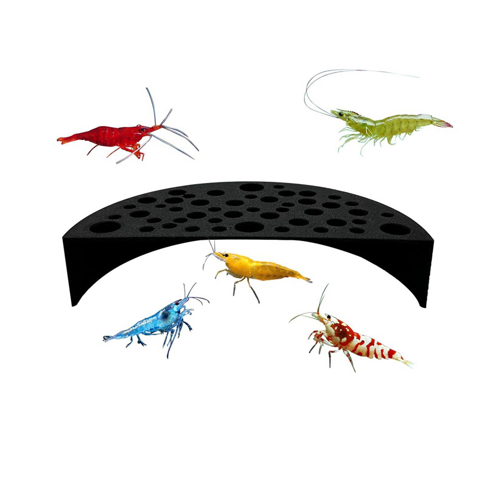 Shrimp Breeding Protector - Shrimp Breeding Cave Indoor Outdoor ...