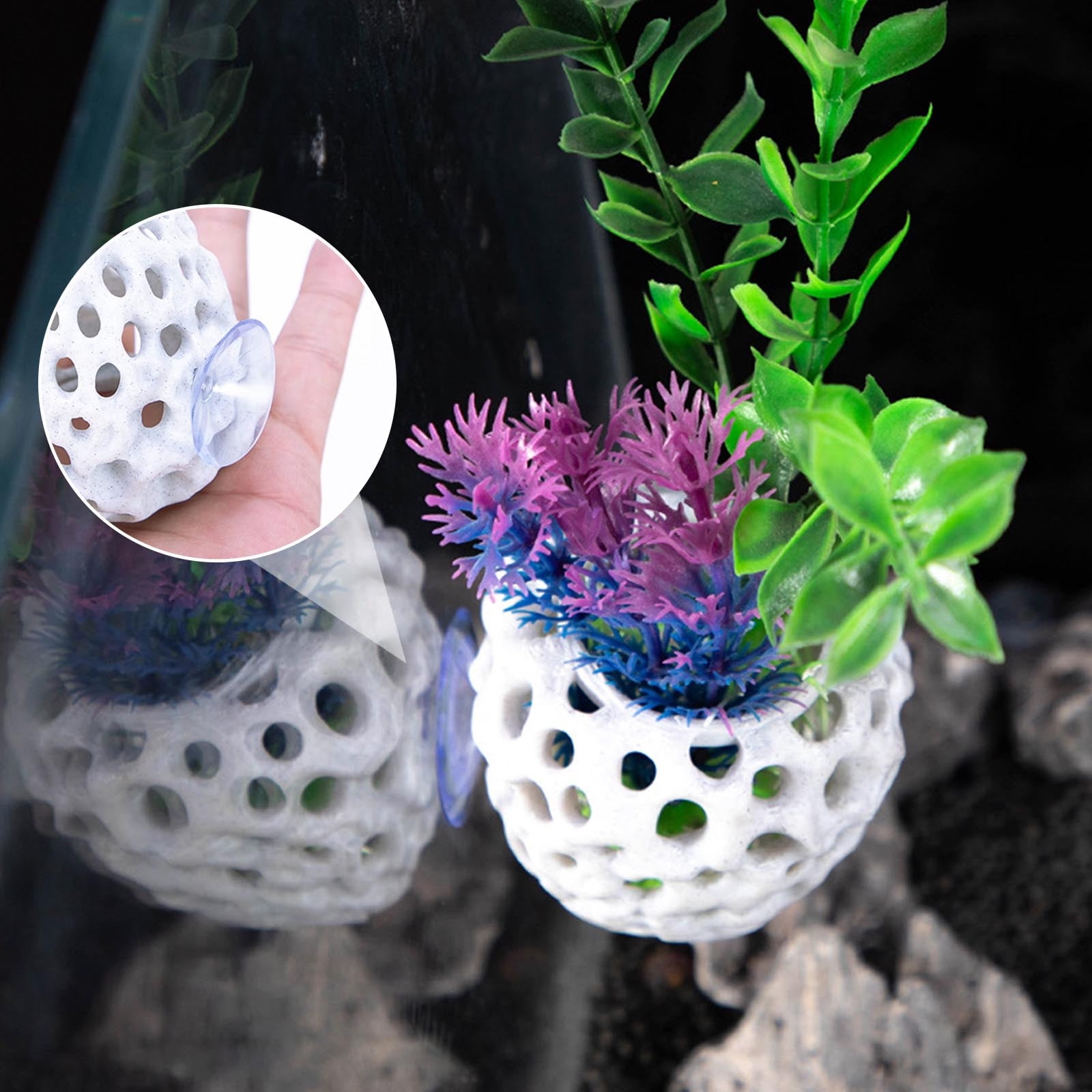 Shrimp Dome Hide, Shrimp Hides for Aquarium, Fish Hideout with Suction ...