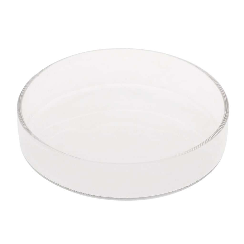 Shrimp Feeder Dish Clear Glass Feeding Tray Multi Sizes Round Food Bowl ...