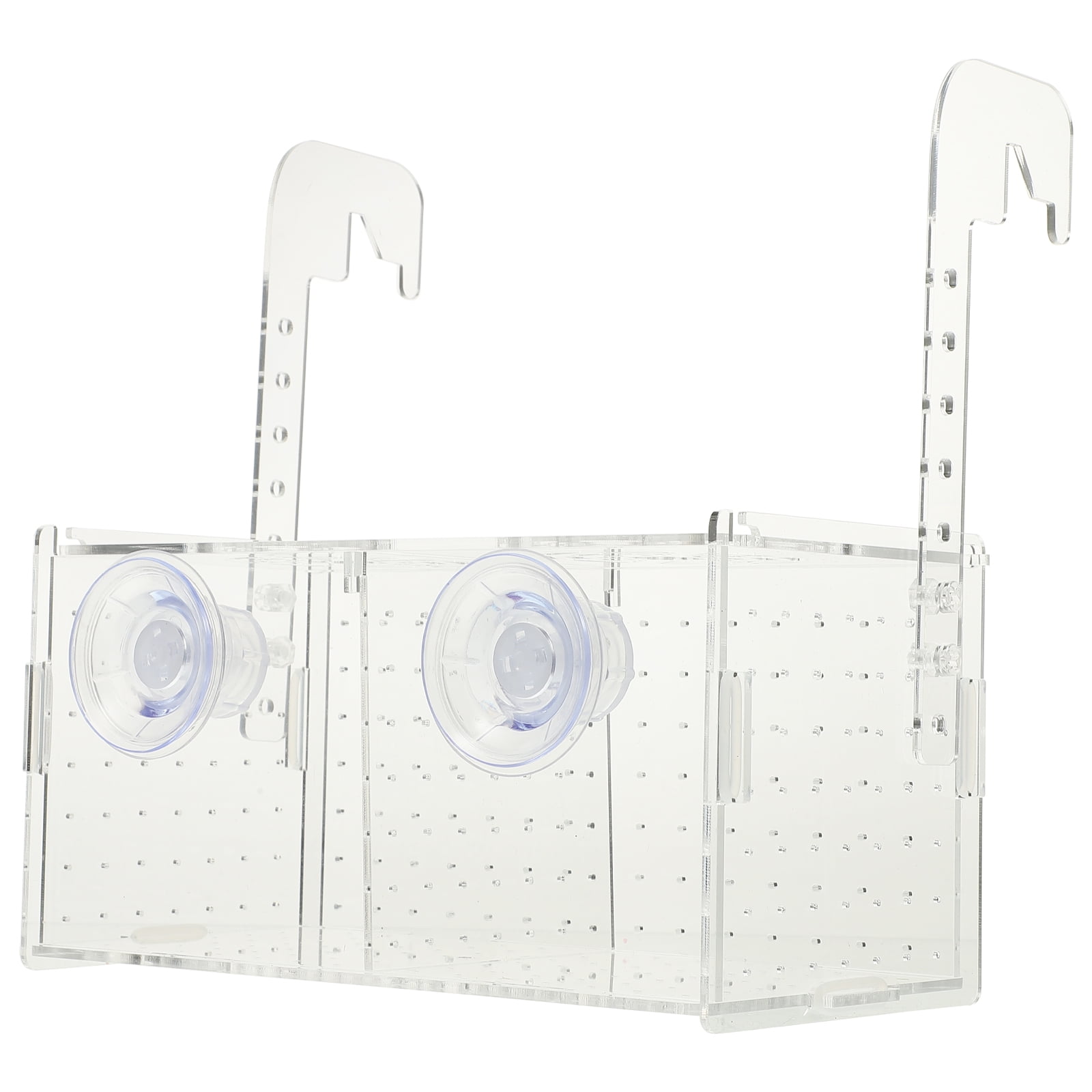 Shrimp Guppies Breeding Container Fish Isolation Box for Aquarium ...