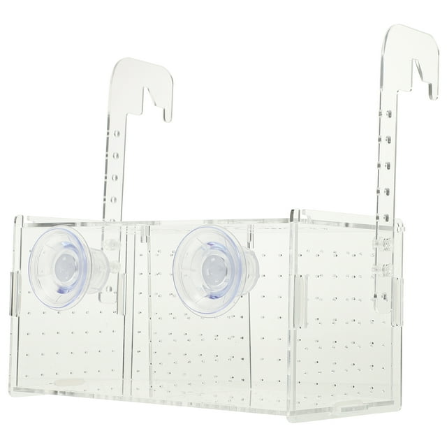 Shrimp Guppies Breeding Container Fish Isolation Box for Aquarium ...