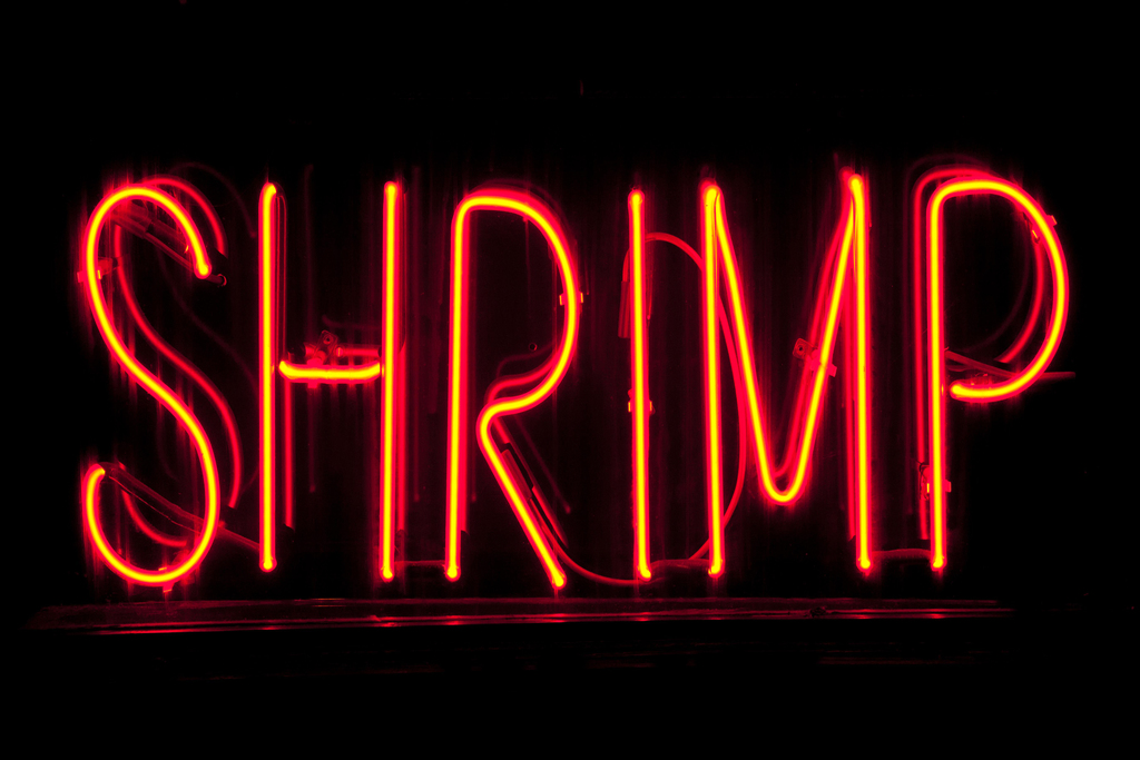 Shrimp Neon Illuminated Photo Photograph Cool Wall Art Print Poster ...