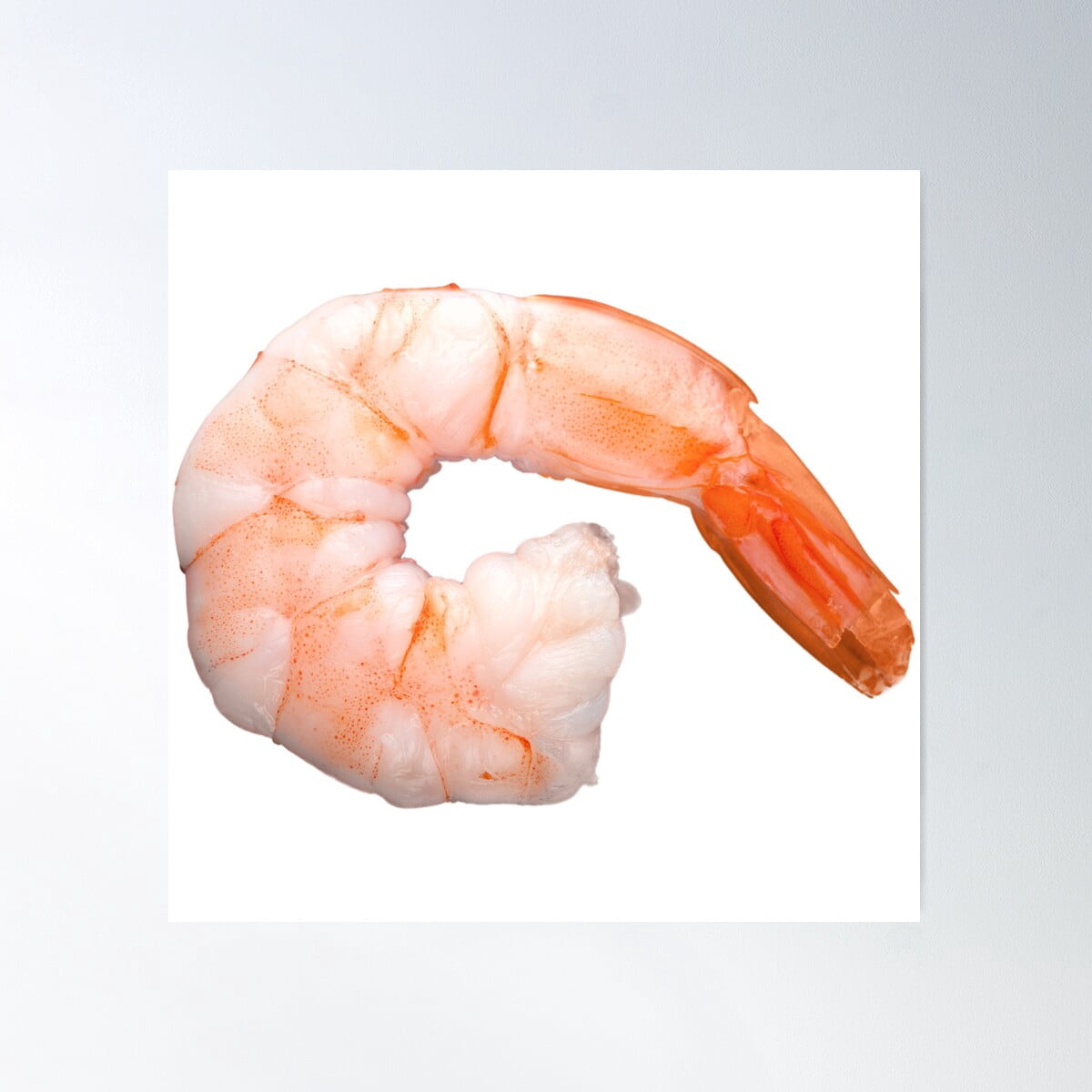 Shrimp Poster Wall Art, Modern Wall Decor For Living Room Bedroom ...
