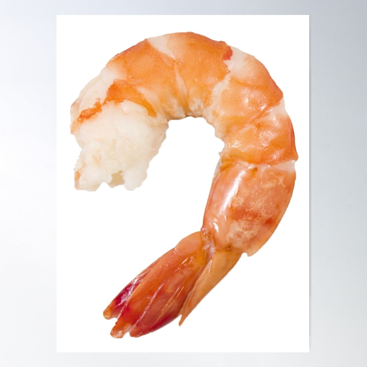 Shrimp Poster Wall Art, Modern Wall Decor For Living Room Bedroom, 8x12 ...