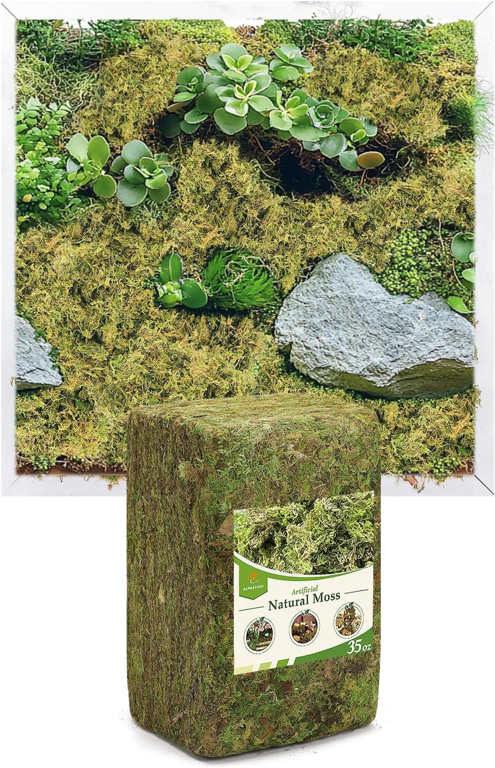 Shukong 35oz Large Capacity Green Moss for Crafts - Dried Natural ...