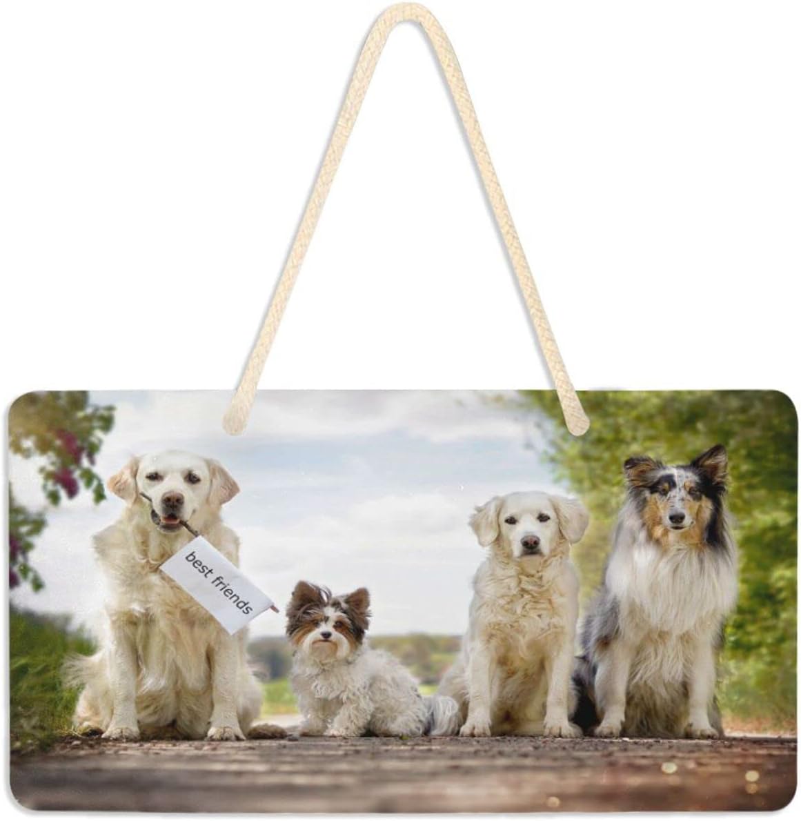 Shukong Cute Dogs Are Best Friends Door Sign for Front Door, Plaque ...