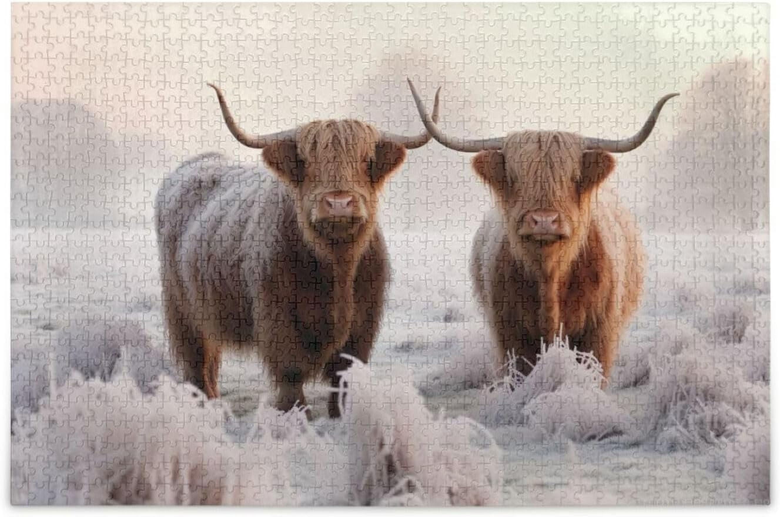 Shukong Highland Cow Jigsaw Puzzle 1000 Pieces, Educational ...
