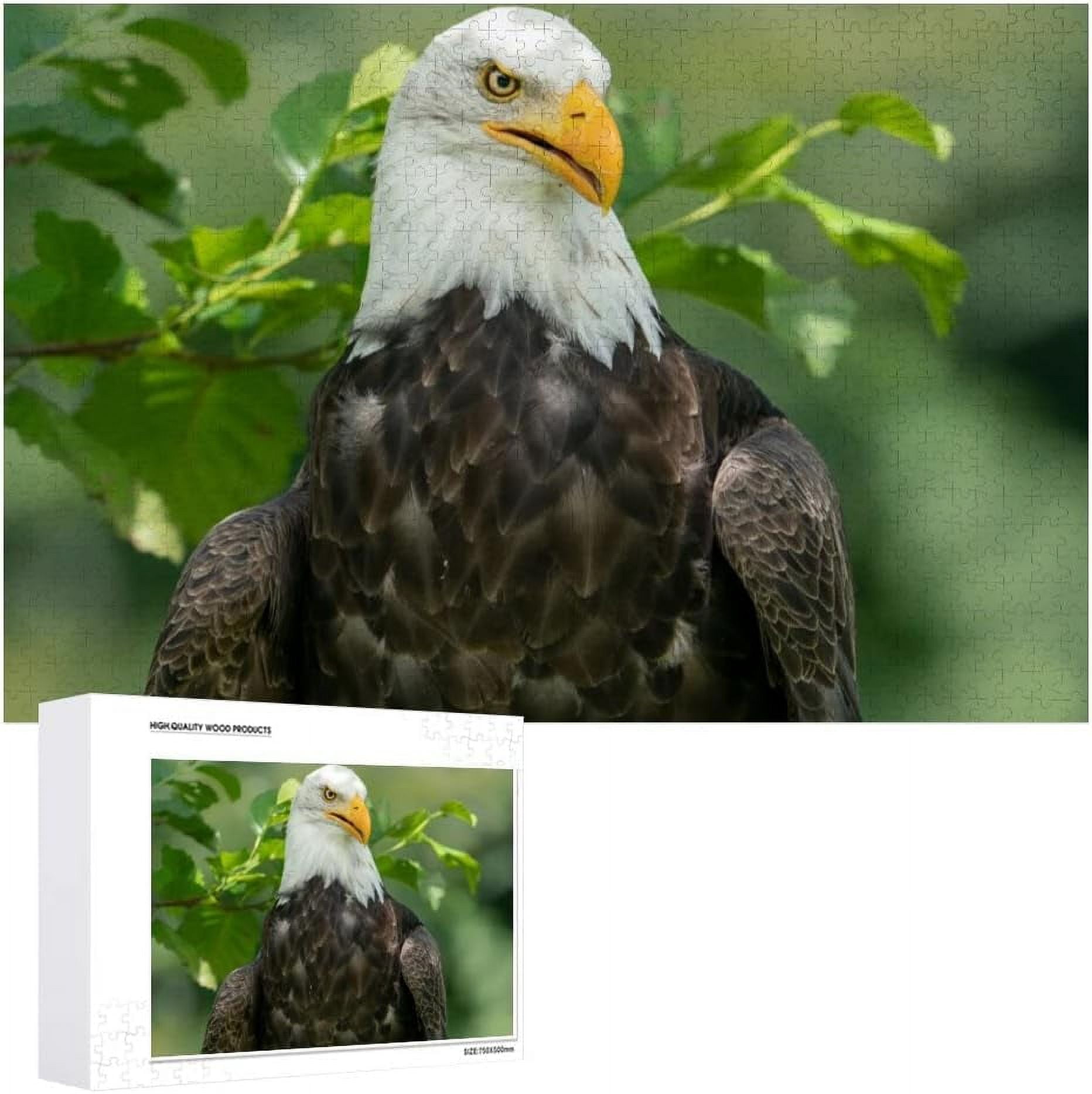 Shukong Wooden Jigsaw Puzzles 500 Pieces Bald Eagle on a Branch ...