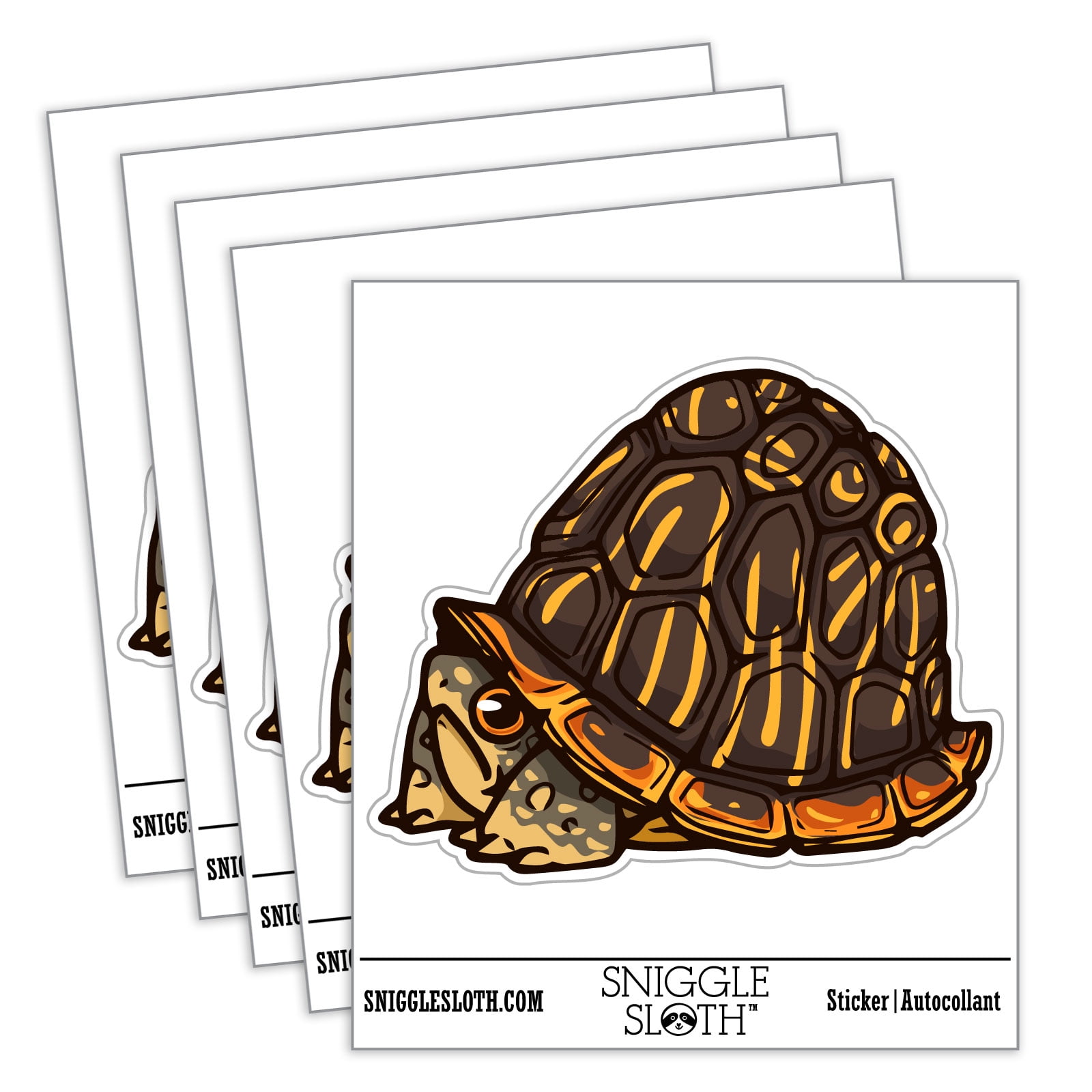 Shy Hiding Western Box Turtle Cartoon Car Window Bumper Water Bottle ...