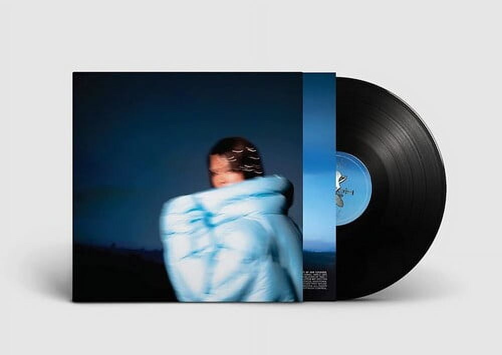 Shygirl - Nymph - Music & Performance - Vinyl - Walmart.com