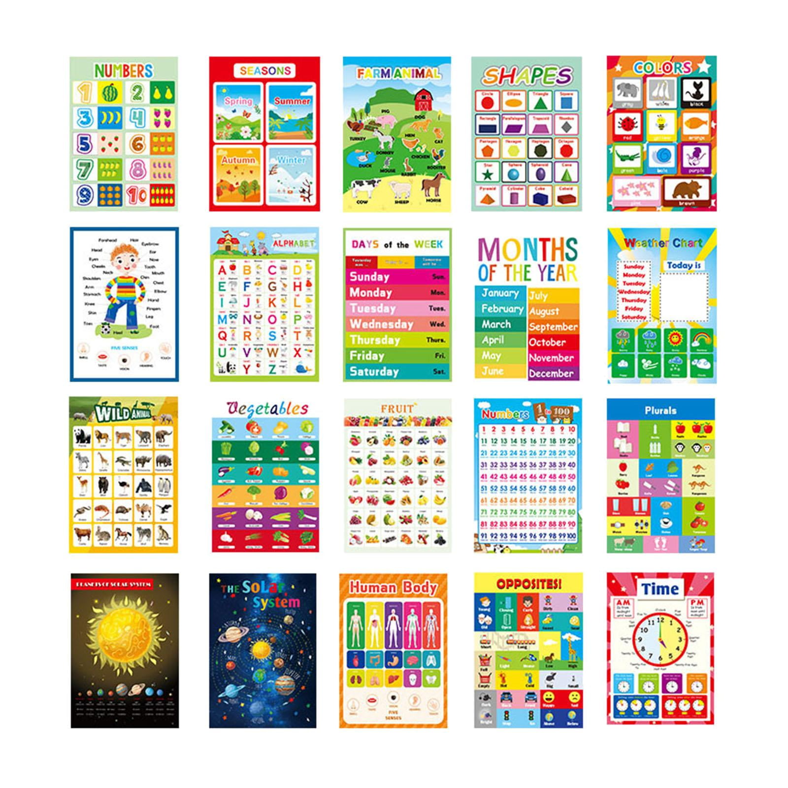 SiaBiced 20 Pieces Educational Posters Preschool Teaching Posters ...