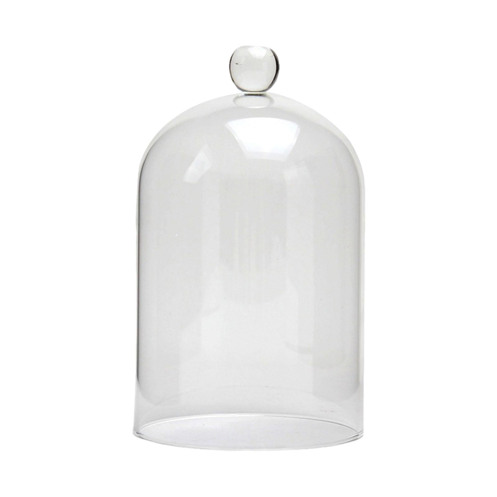 SiaBiced Glass Cover Creative Stable Display Piece Display - Walmart.com