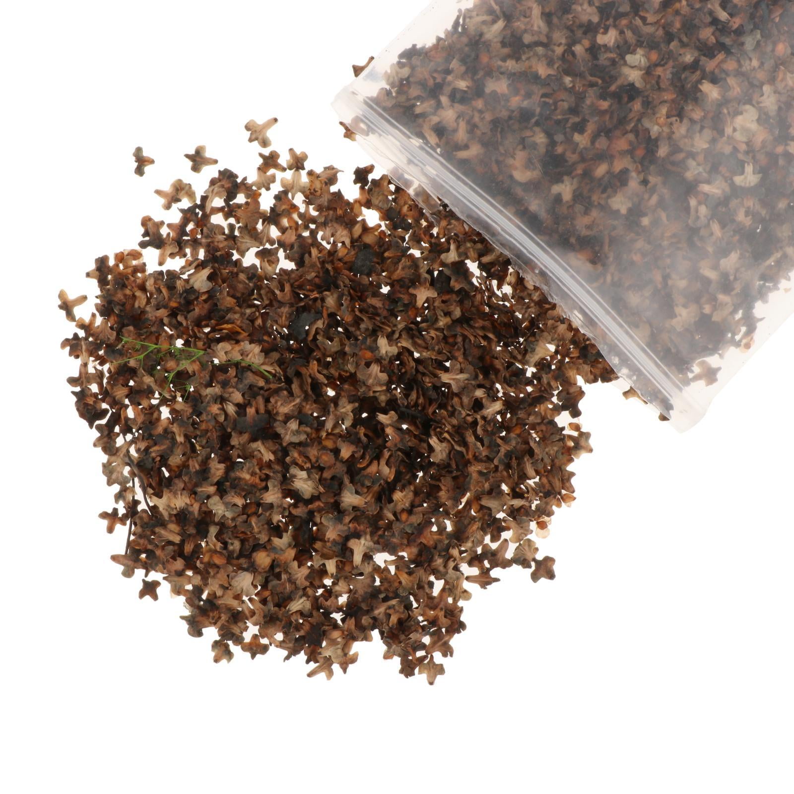 SiaBiced Realistic Miniature Leaves DIY Model Kit Fairy Gardens ...