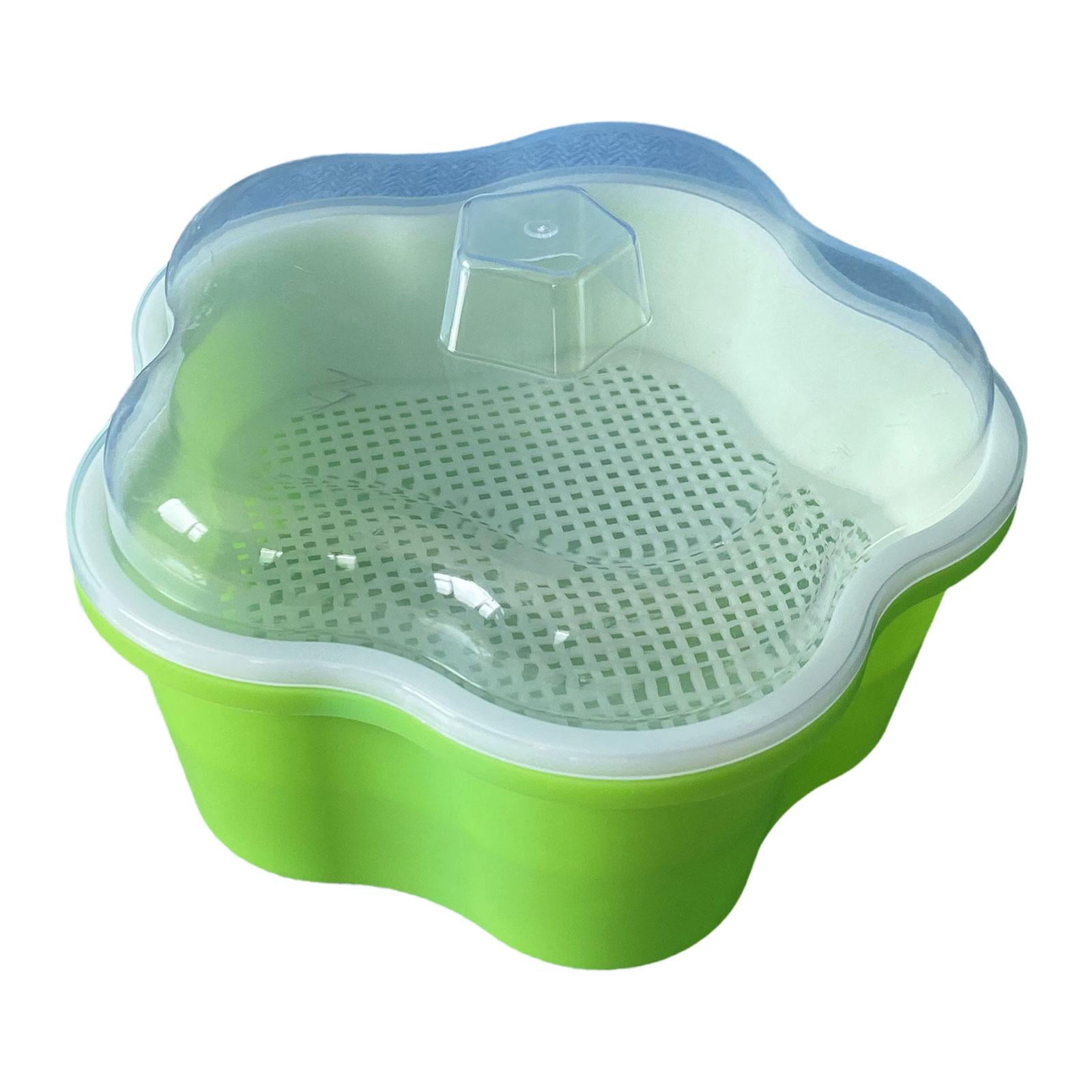 SiaBiced Seed Sprouter Tray with Lid Microgreens Growing Nursery Tray ...